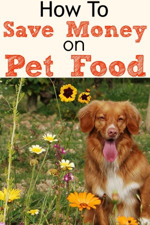 How To Save Money On Dog Food
