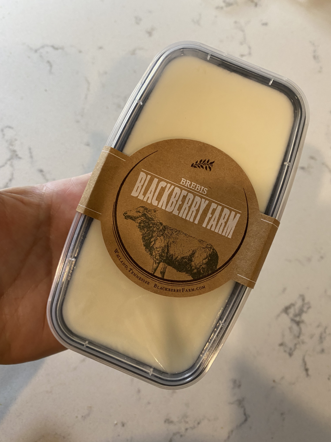 Our Blackberry Farm Experience: Review